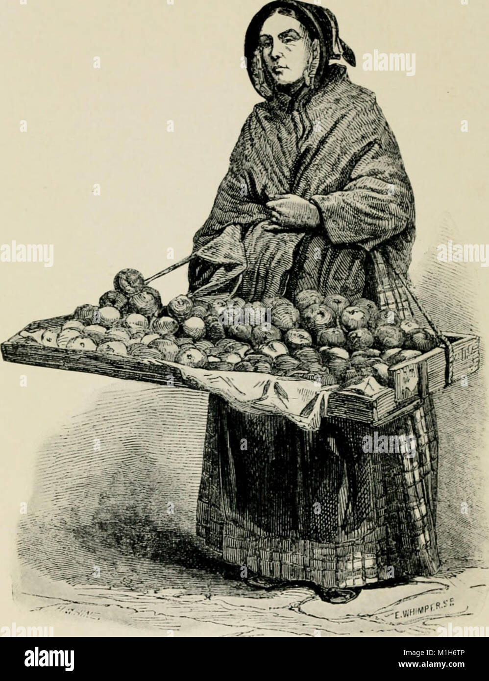 This 1916 biography details the life and work of W.B. Tegetmeier, a ...