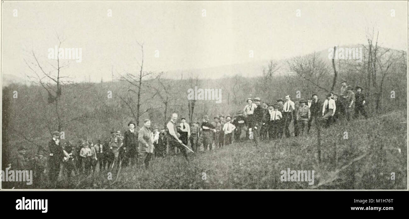 'American Forestry' (1910-1923) provides an in-depth look at the ...