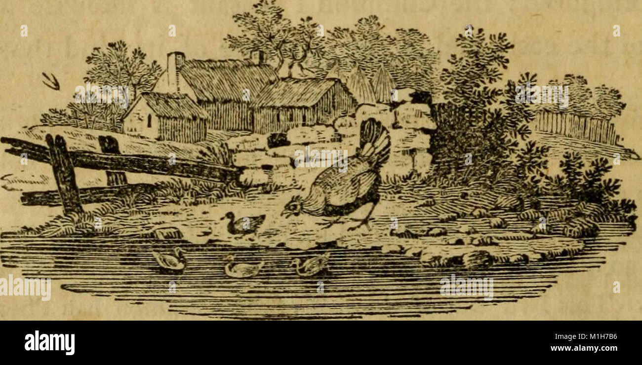 This 1809 work provides an illustrated history of British birds, with ...