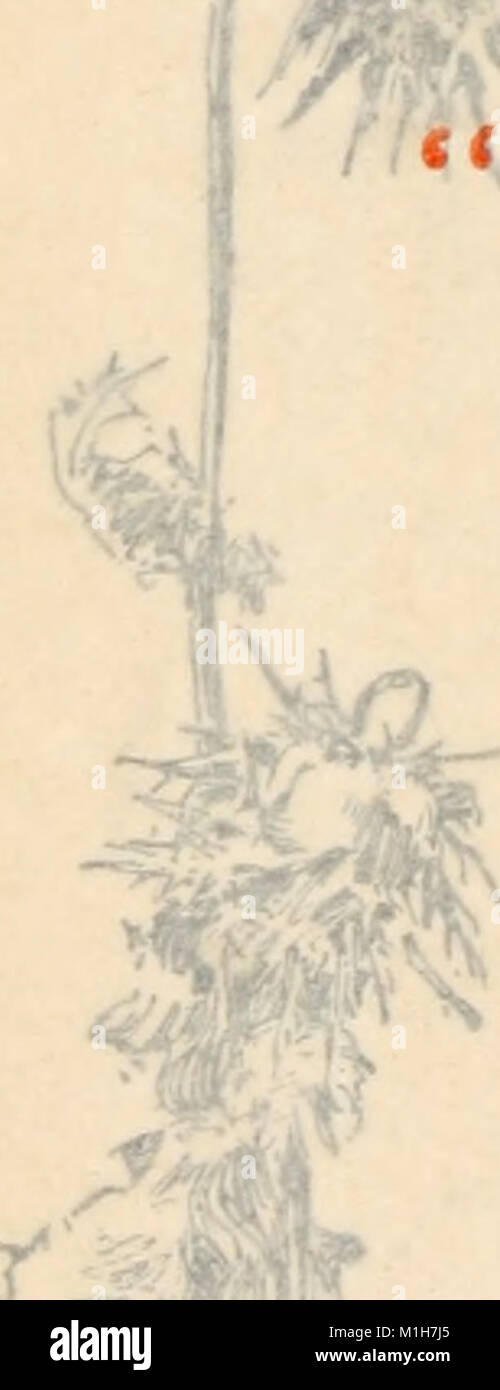 This 1900 edition of *A Christmas Carol* by Charles Dickens features ...