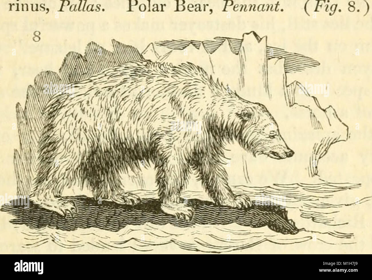 This 1838 publication explores the history of animals kept in ...