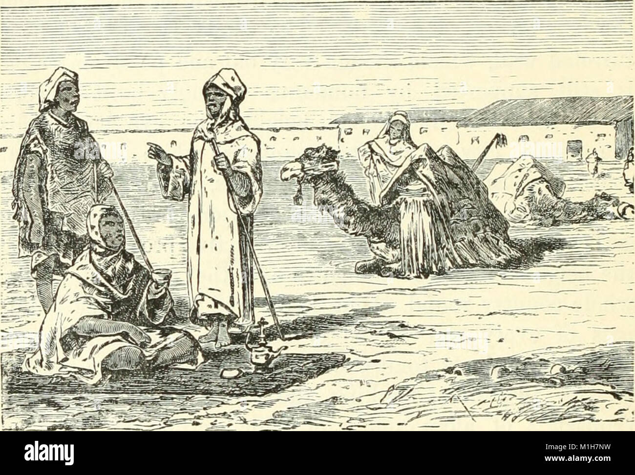 The 1884 book 'Africa' provides a comprehensive overview of the ...