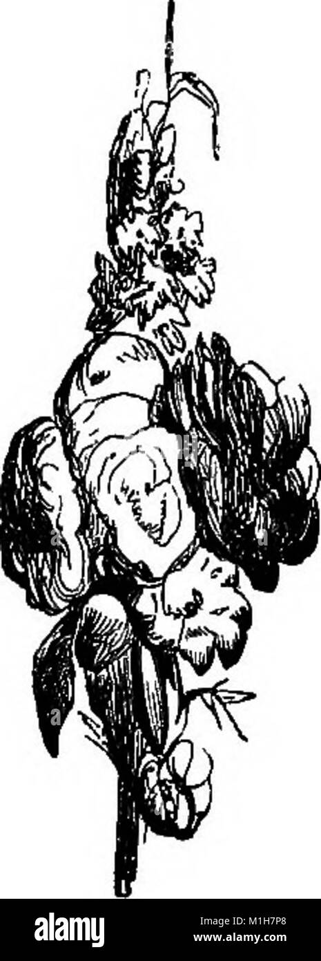 Botanical tour Black and White Stock Photos & Images - Alamy