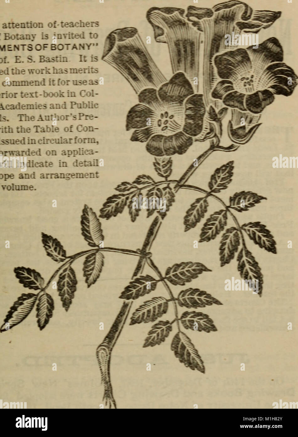 This 1888 publication offers an overview of the structure and function ...