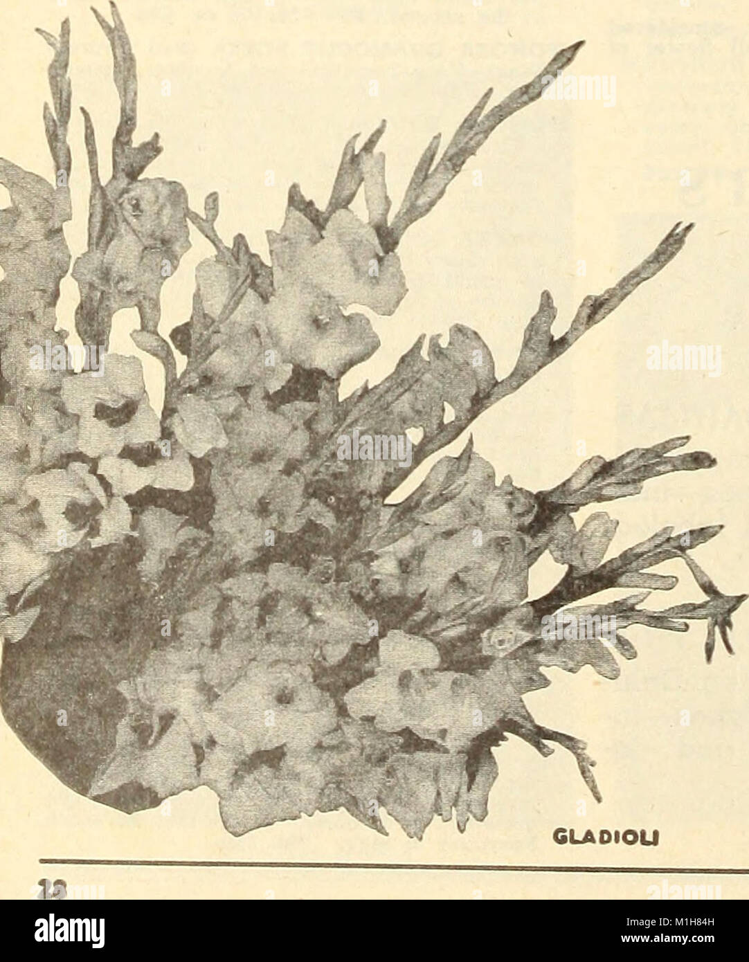 The 1959 catalog presents a variety of products, including household ...