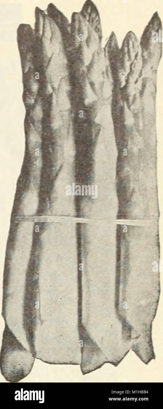 The 1962 catalog features a wide range of products, services, and ...