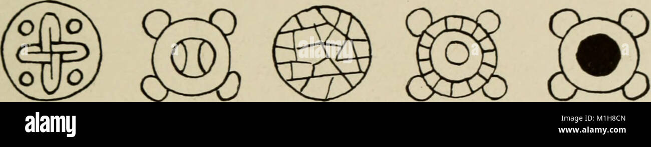 'Ancient Civilizations of Mexico and Central America' (1917) explores ...