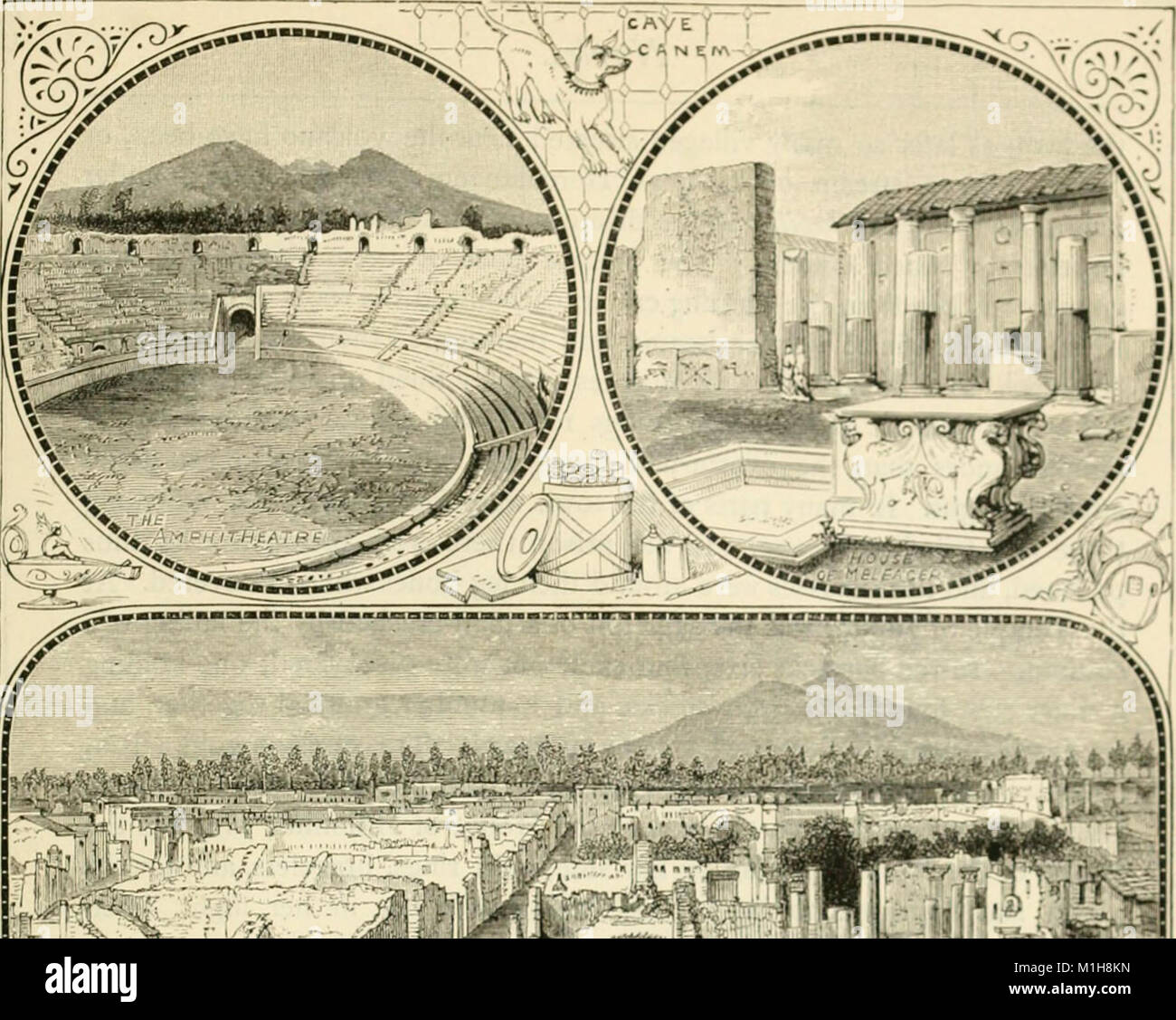 This 1885 guide provides detailed descriptions and illustrations of ...