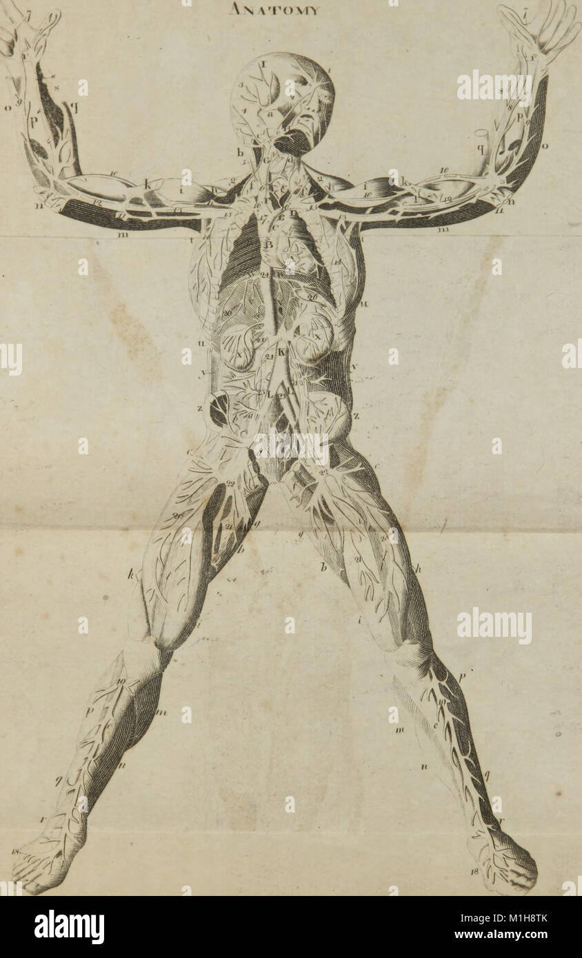 This comprehensive anatomical system, published in six parts, covers ...