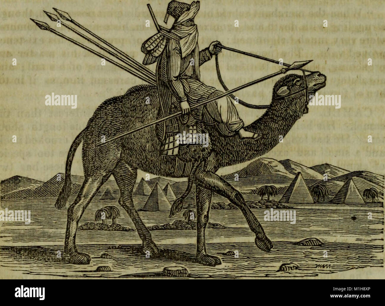 A new family encyclopedia, or, Compendium of universal knowledge ...