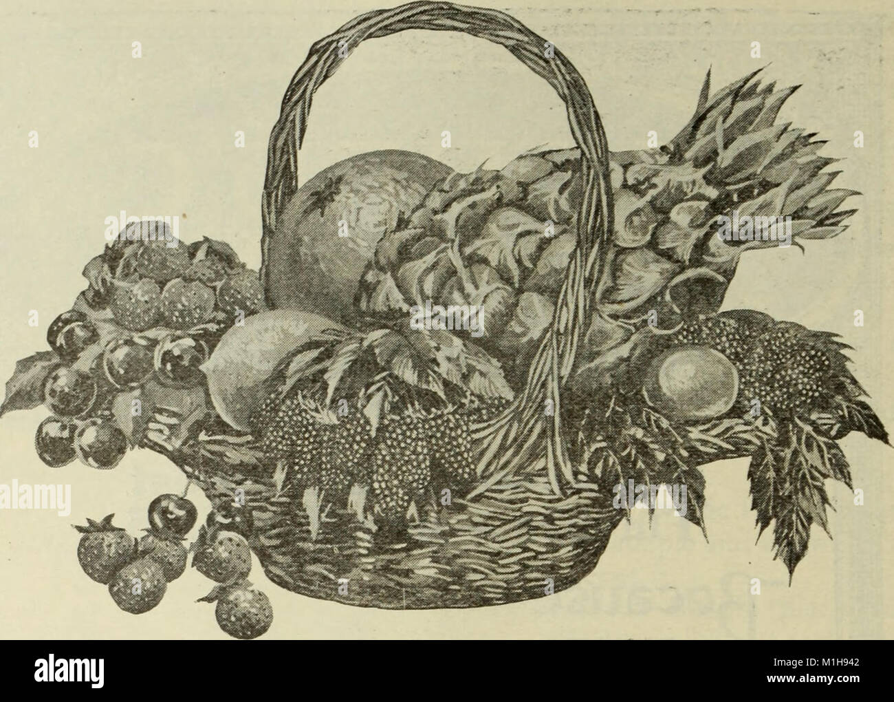 'American Cookery' (1919) is a cookbook that explores the diversity of ...