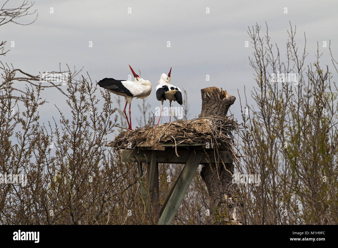 Bill clattering display hi-res stock photography and images - Alamy