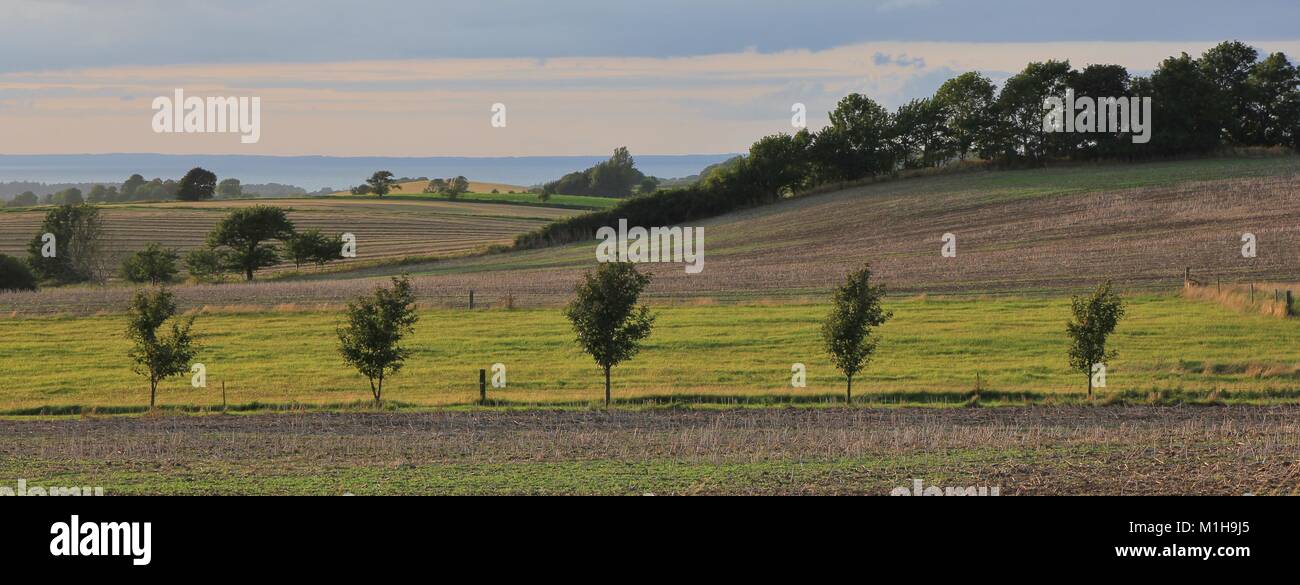 Rural summer scene in Denmark Stock Photo - Alamy