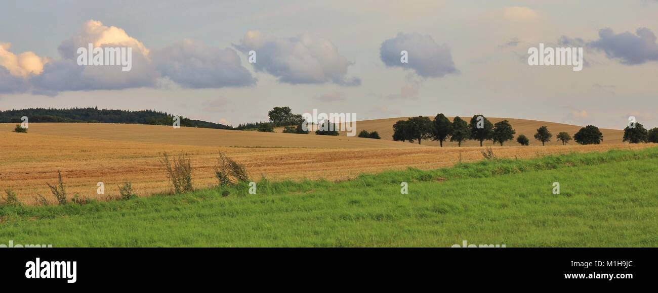 Rural landscape in Moen, Denmark. Fields and trees Stock Photo - Alamy