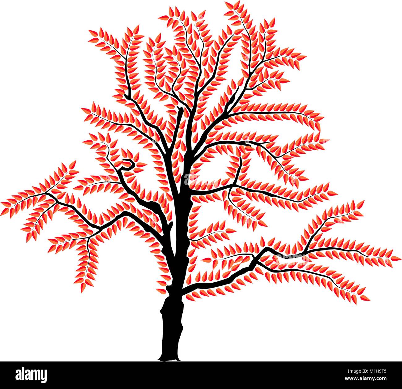vector image of a tree in autumn Stock Vector Image & Art - Alamy