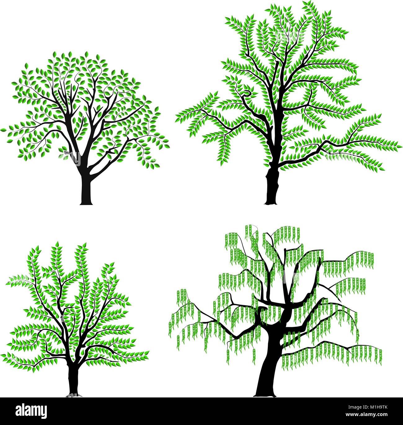 Image collection Cut Out Stock Images & Pictures - Alamy