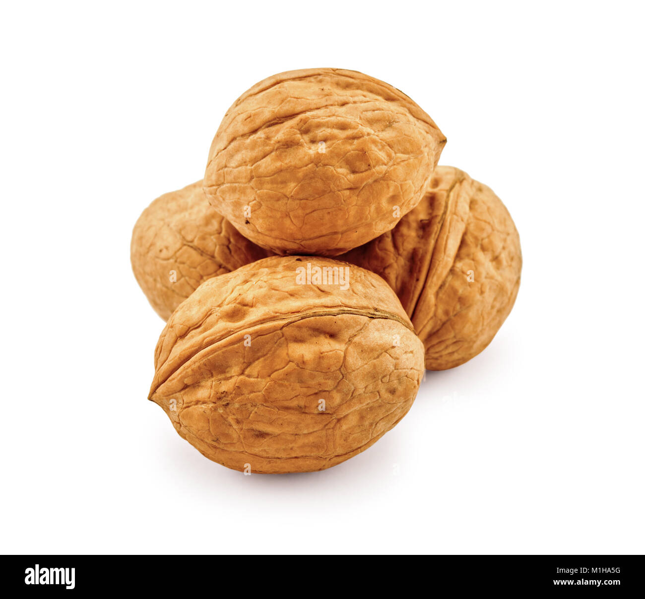 Dried walnuts isolated on the white background Stock Photo - Alamy