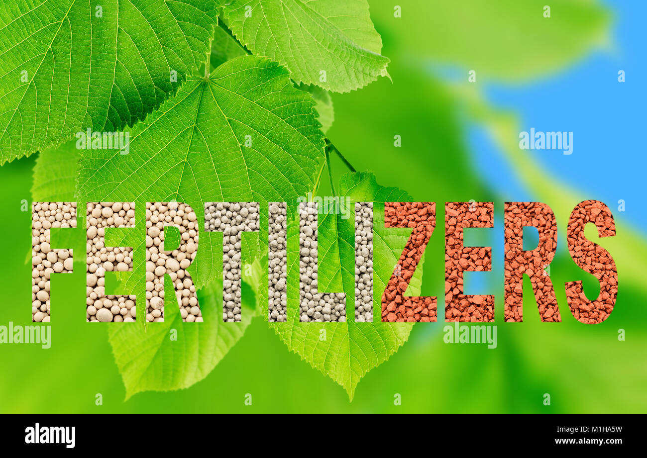 Word "FERTILIZERS" made of mineral fertilizers Stock Photo - Alamy