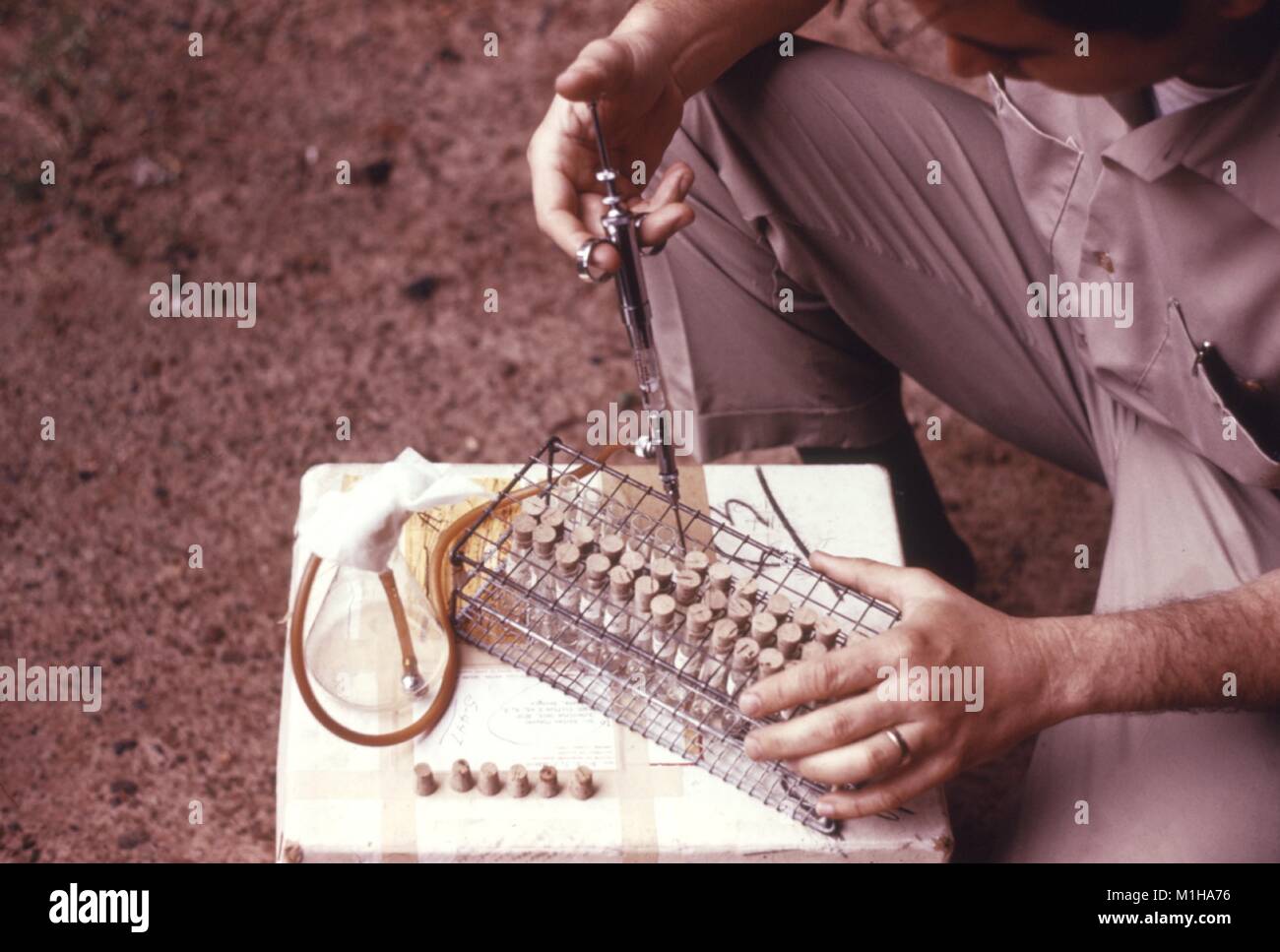 Detail photograph of a CDC (Centers for Disease Control) scientist ...