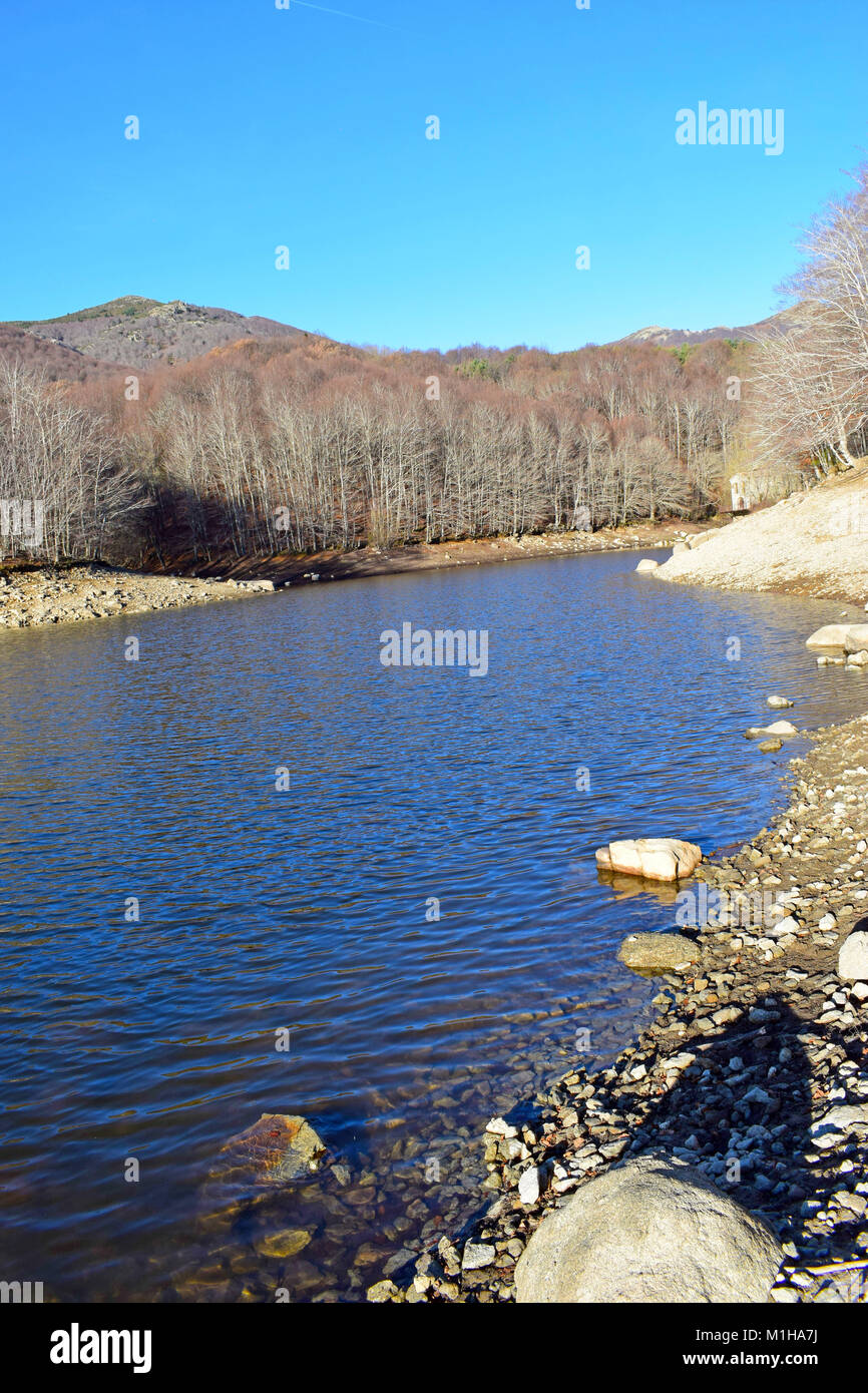 .Swamp Santa Fe El Montseny Barcelona Stock Photo - Alamy