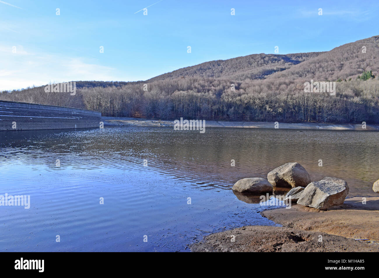 .Swamp Santa Fe El Montseny Barcelona Stock Photo - Alamy