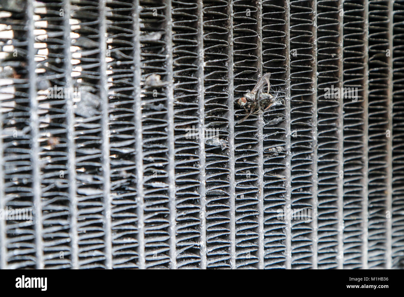 Car radiator inside hi-res stock photography and images - Alamy