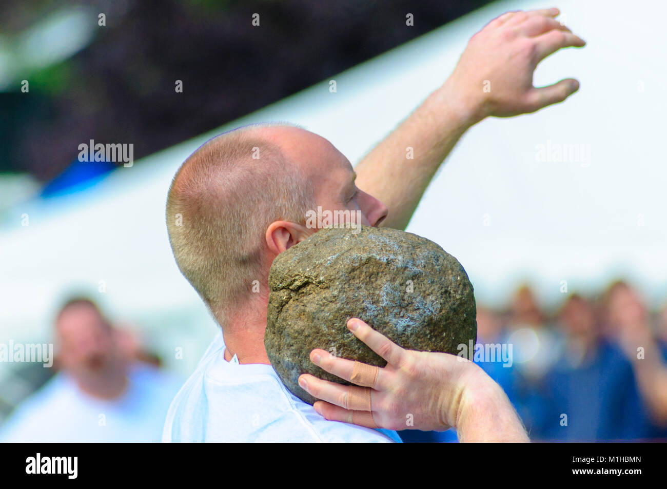 Muscular male prepares to throw in the stone put competition at the ...