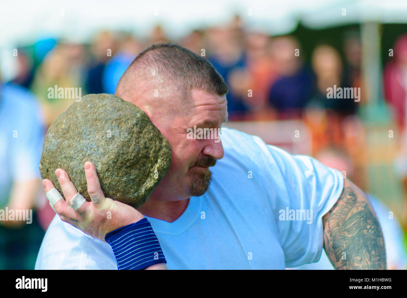 Muscular male prepares to throw in the stone put competition at the ...