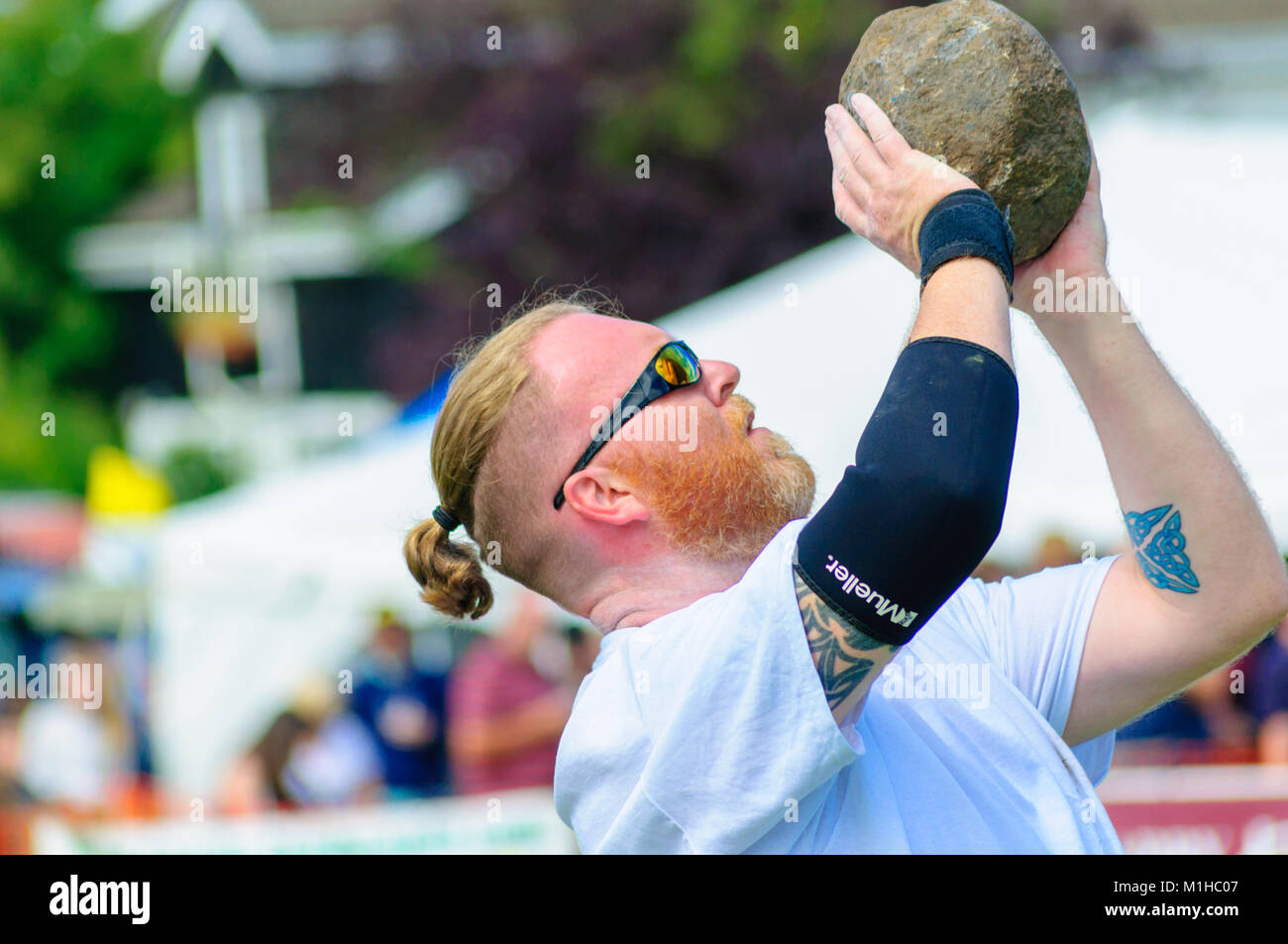 Muscular male prepares to throw in the stone put competition at the ...