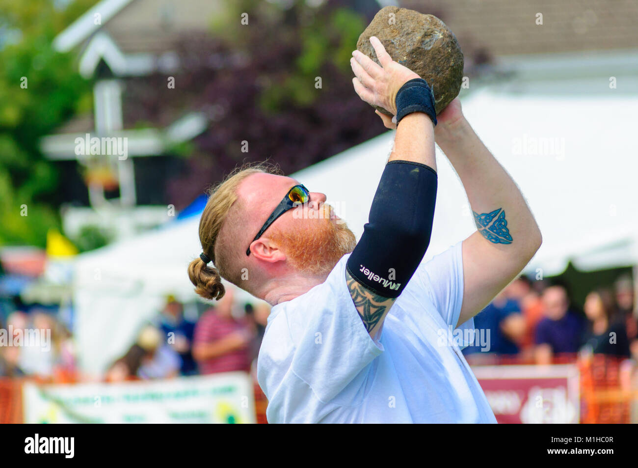 Muscular male prepares to throw in the stone put competition at the ...
