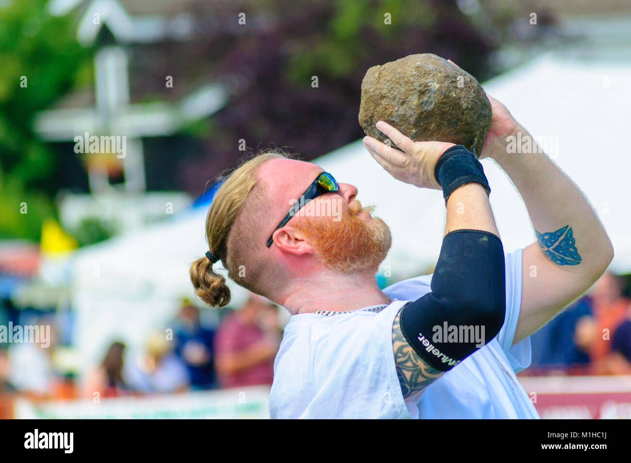 Muscular male prepares to throw in the stone put competition at the ...