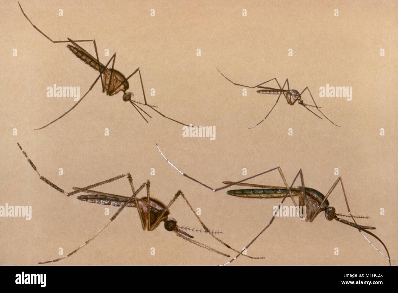 1979 illustration hi-res stock photography and images - Alamy