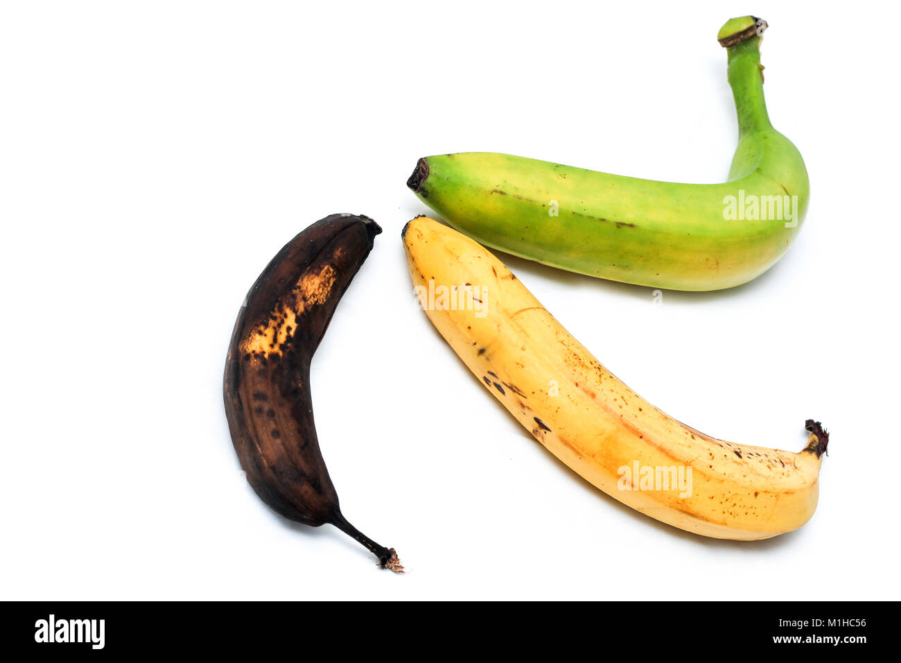 A picture of three ordinary bananas, without modifications..as you know ...