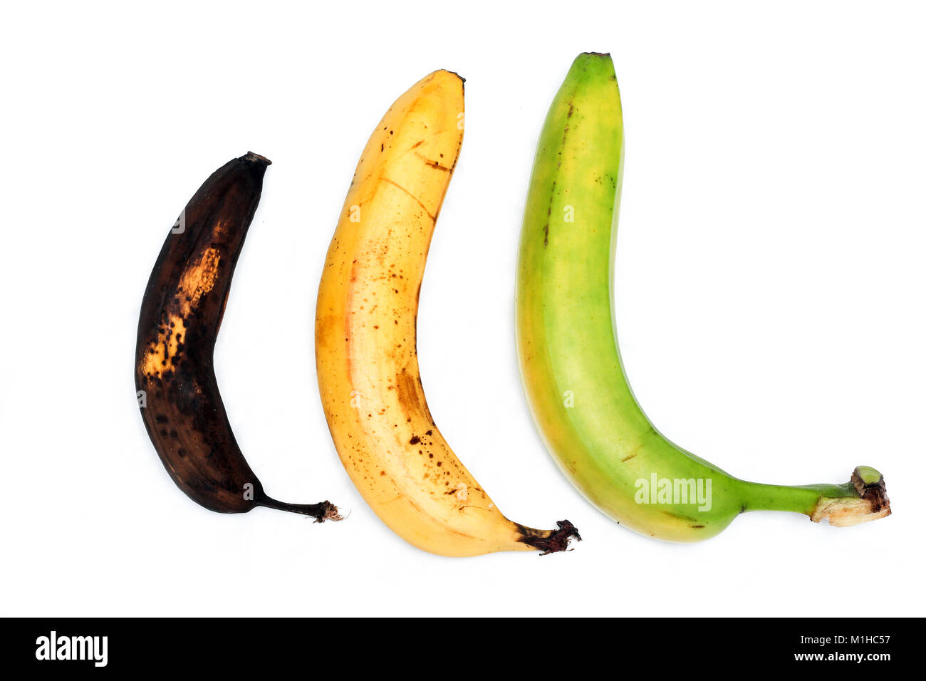 A picture of three ordinary bananas, without modifications..as you know ...