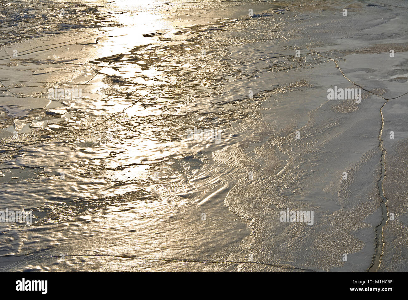 Broken ice on the lake.Backlight view. Floe. Background. Texture Stock ...