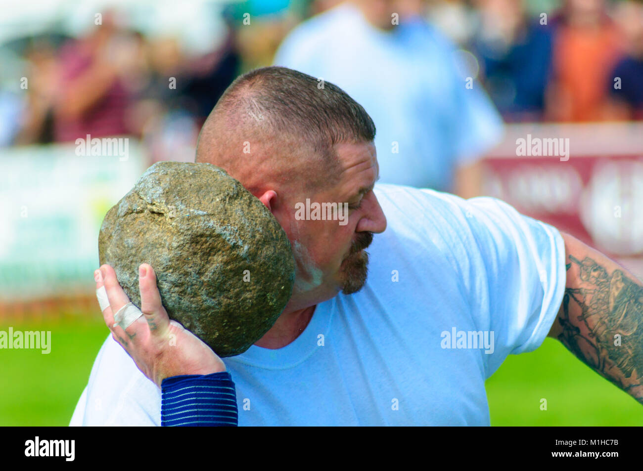 Muscular male prepares to throw in the stone put competition at the ...