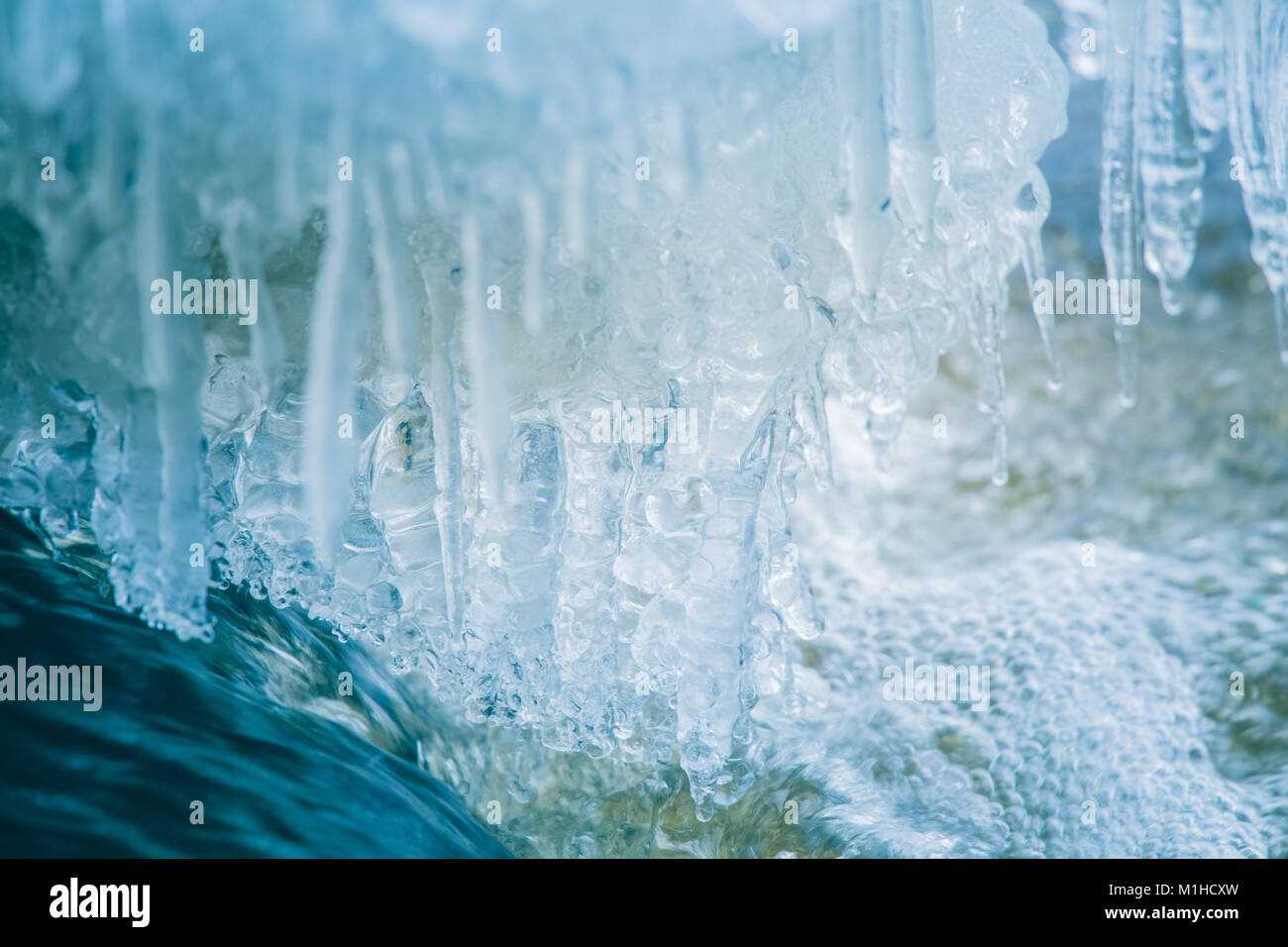 A beautiful frozen icicles at the bank of river in Latvia. Beautiful ...