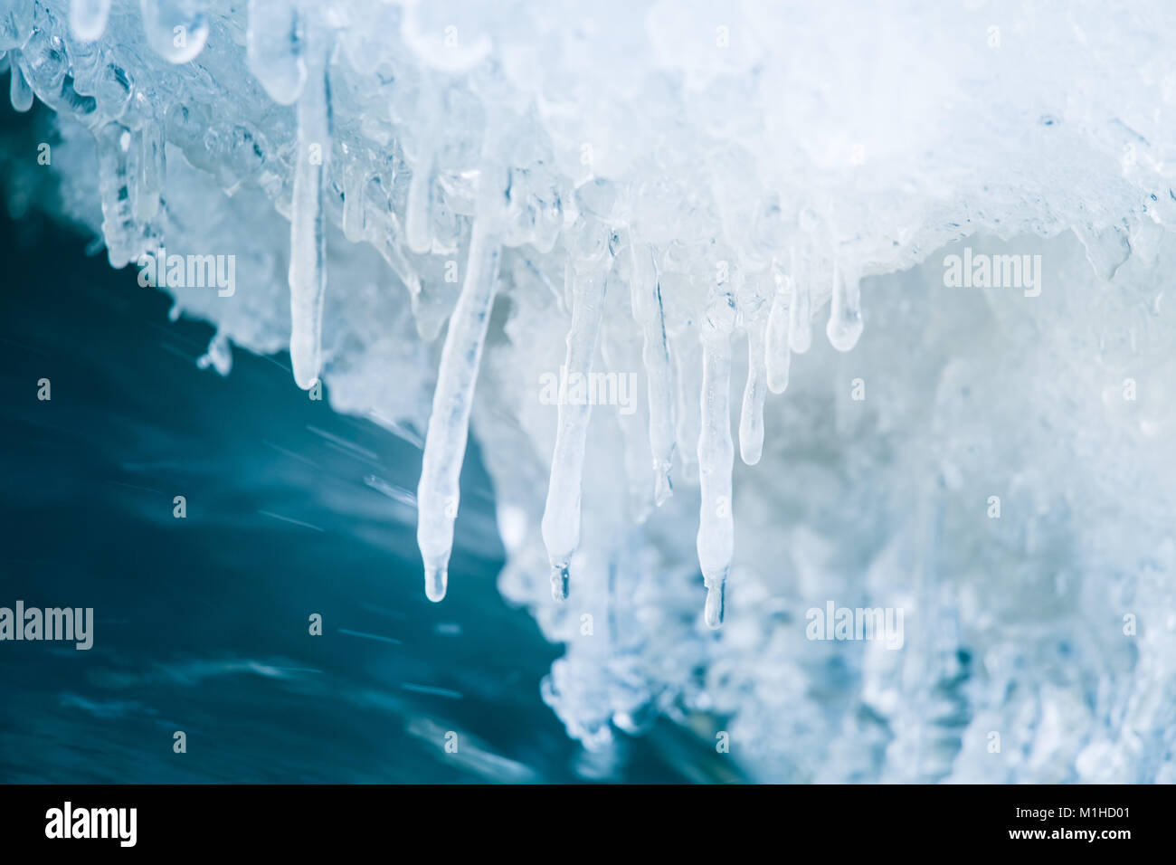 A beautiful frozen icicles at the bank of river in Latvia. Beautiful ...