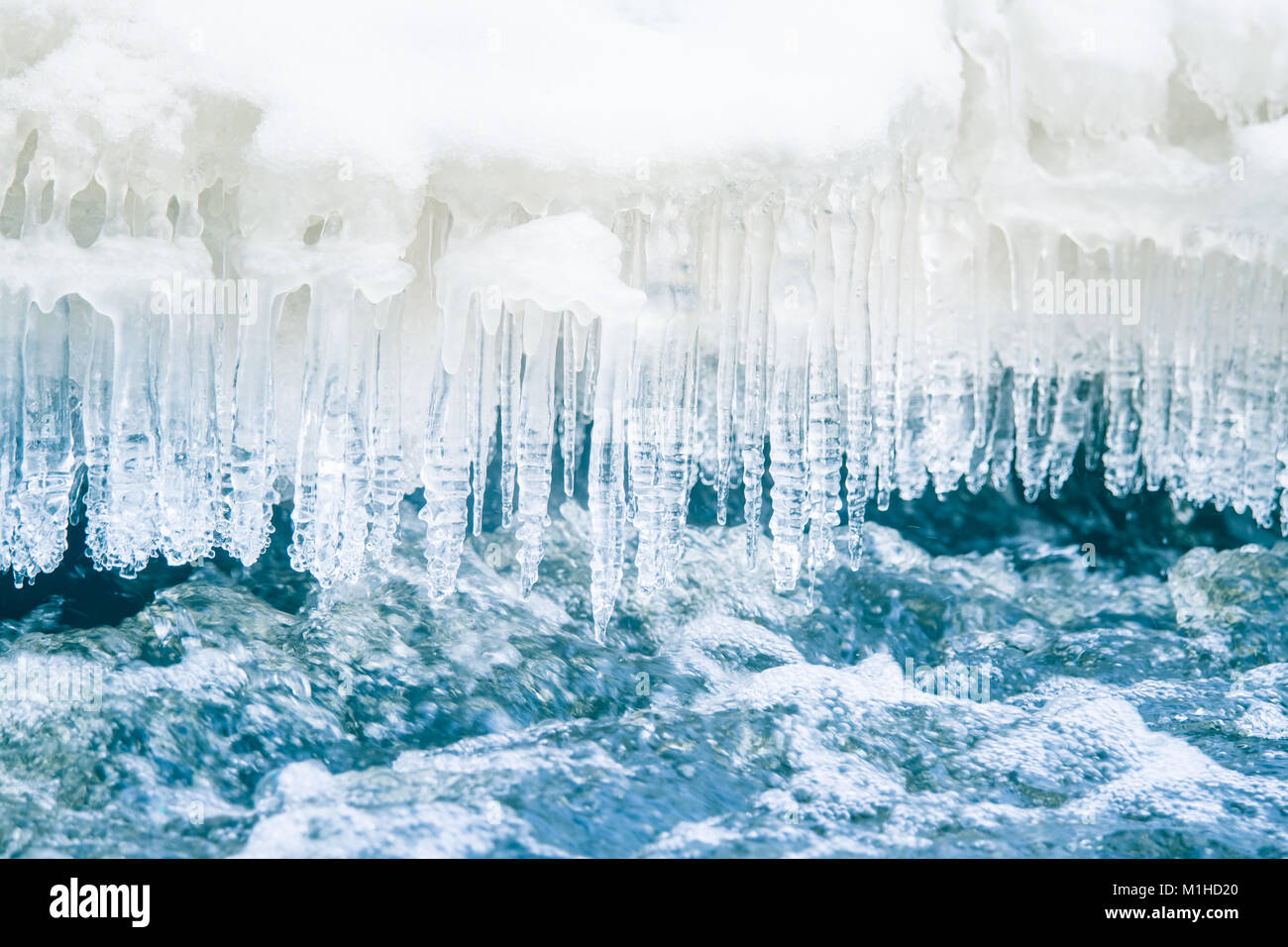 A beautiful frozen icicles at the bank of river in Latvia. Beautiful ...