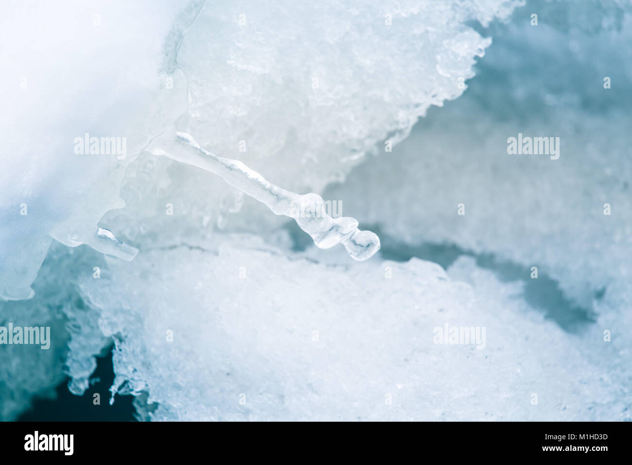 A beautiful frozen icicles at the bank of river in Latvia. Beautiful ...