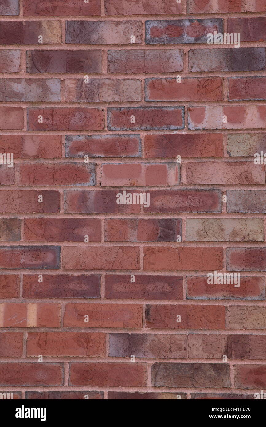 Mouldy bricks hi-res stock photography and images - Alamy