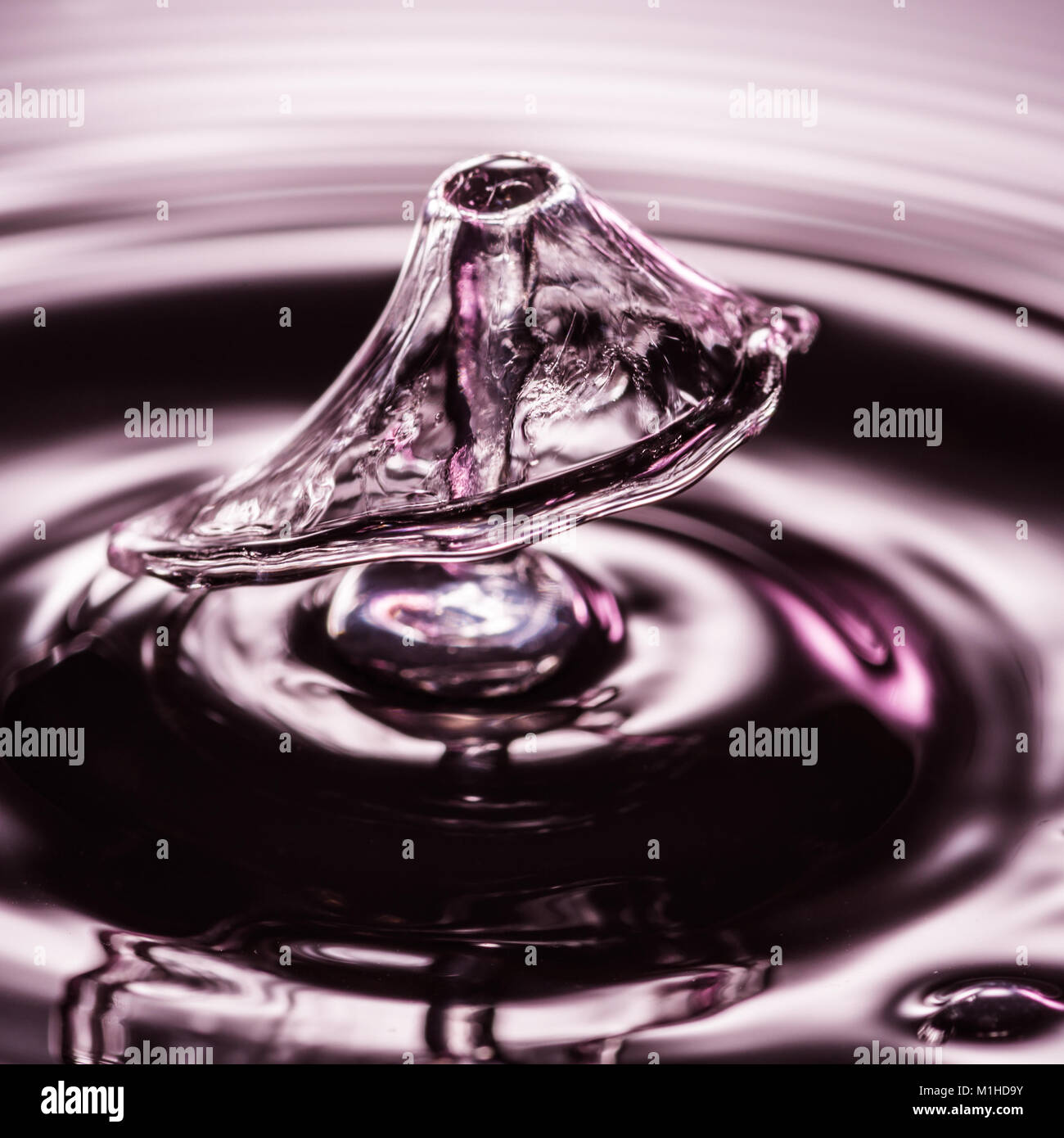 A macro shot of a water drop collision Stock Photo - Alamy