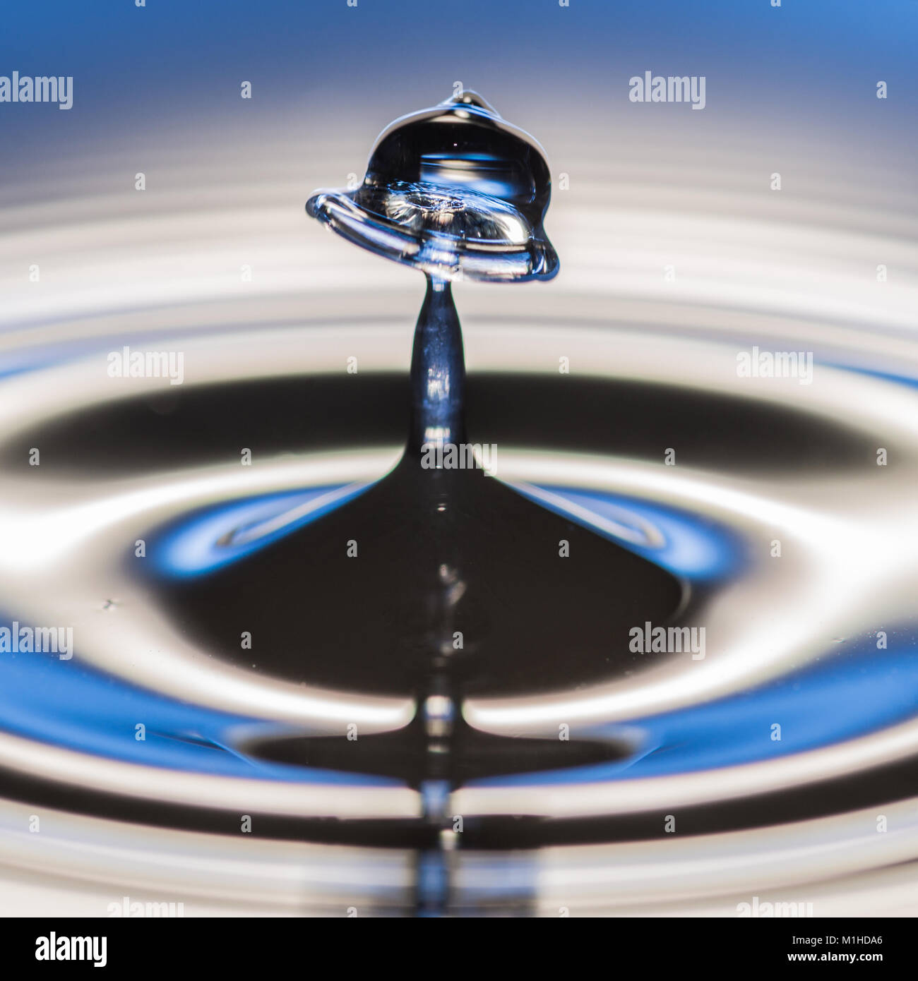 A macro shot of a water drop collision Stock Photo - Alamy