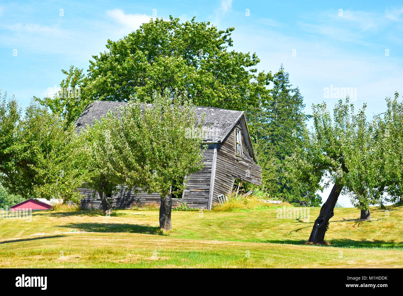 The beautiful countryside in the Pacific Northwest city of Ferndale ...