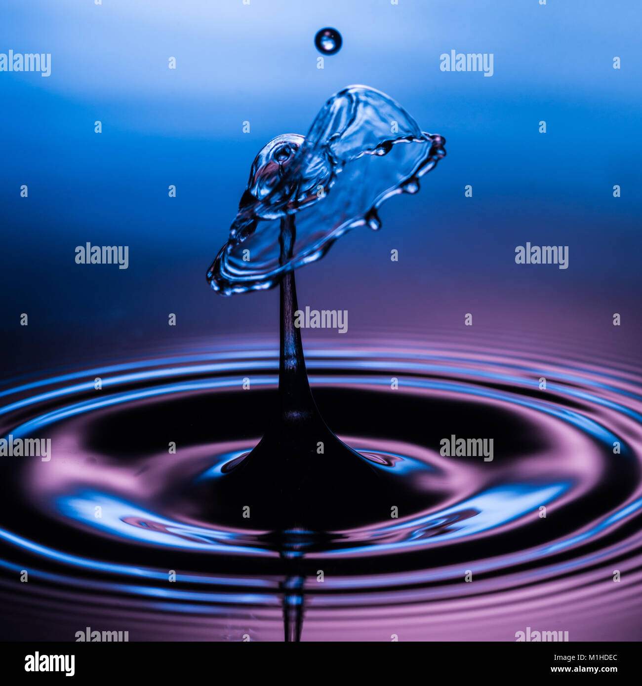An abstract macro shot of a water drop collision Stock Photo - Alamy
