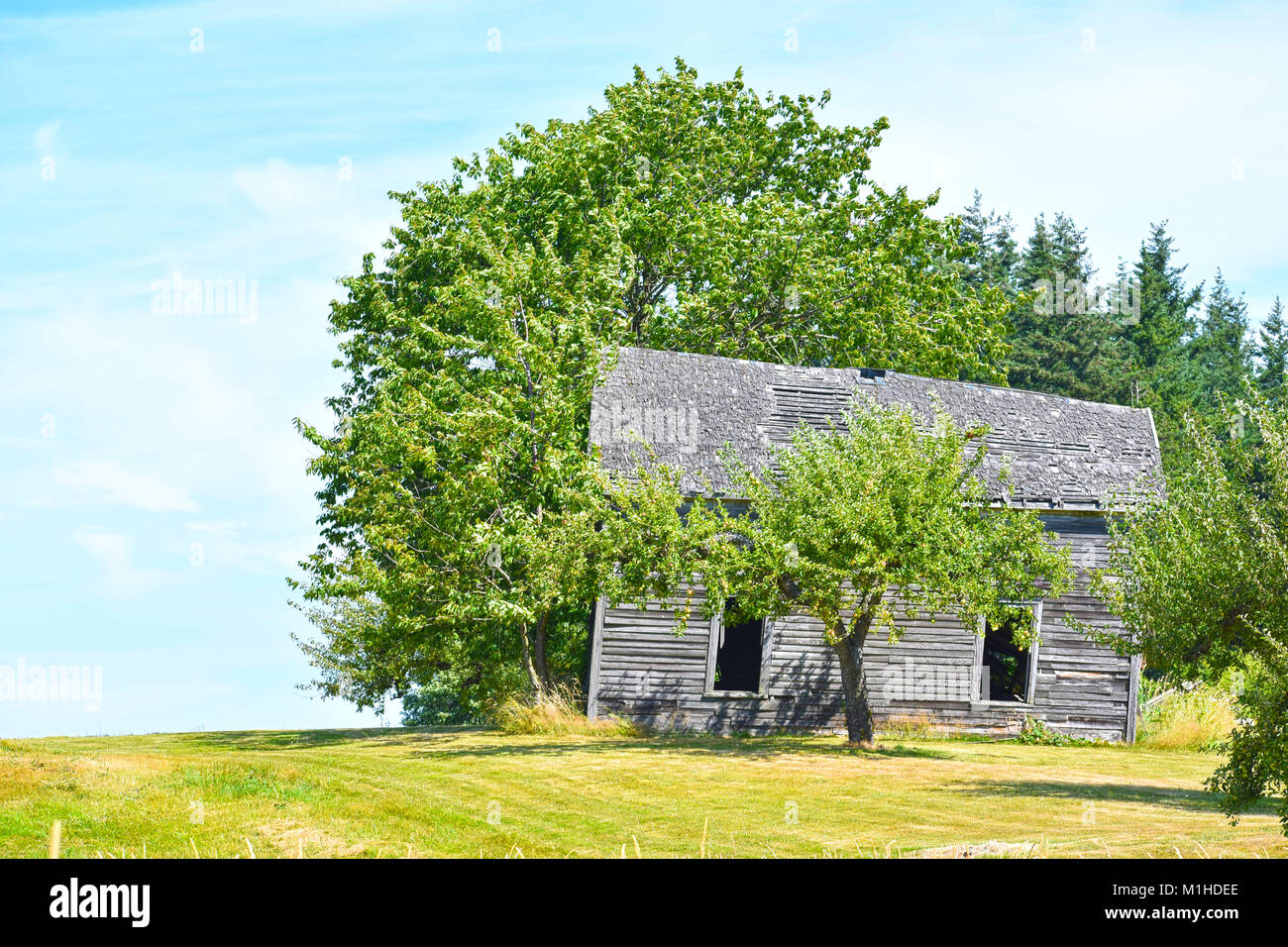 An old rustic wooden historical barn in the beautiful pacific northwest ...
