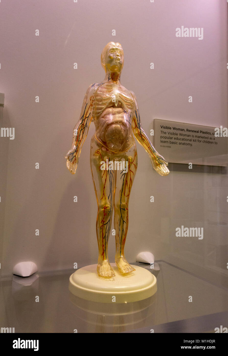 1975 model hi-res stock photography and images - Alamy