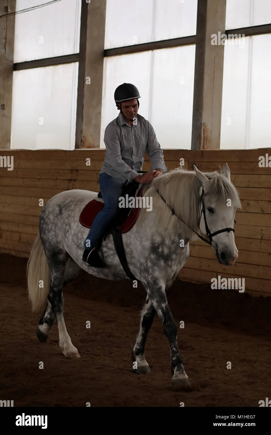 People on a horse training in a wooden arena Stock Photo - Alamy