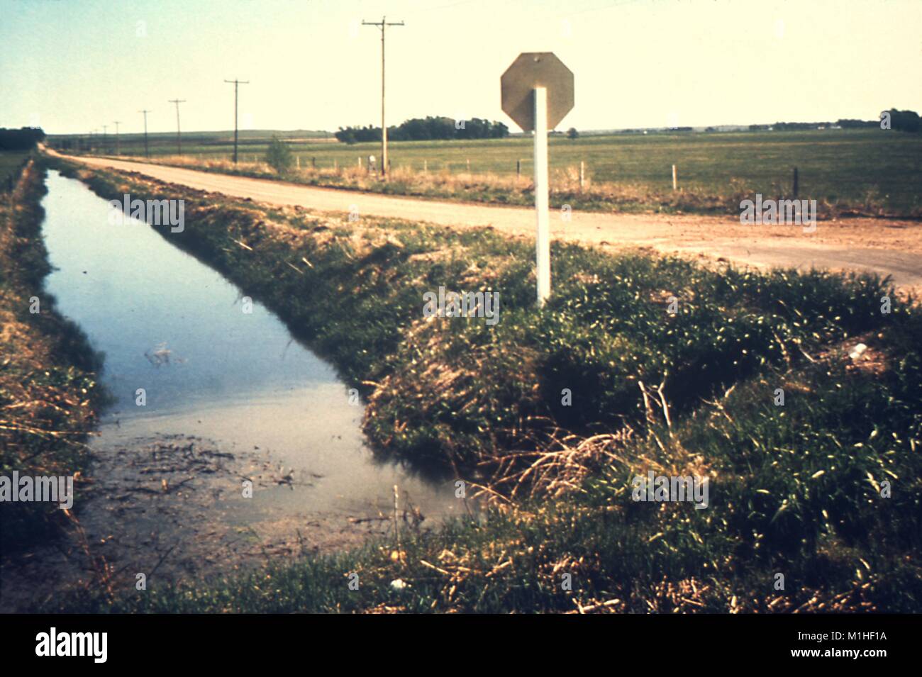 Vector breeding ground hi-res stock photography and images - Alamy