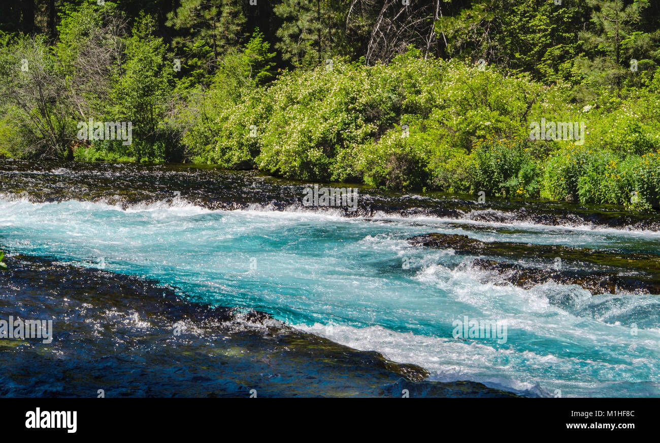Blue waters of the Metolius River in central Oregon Stock Photo - Alamy